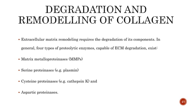 Collagen and collagen disorders | PPTX