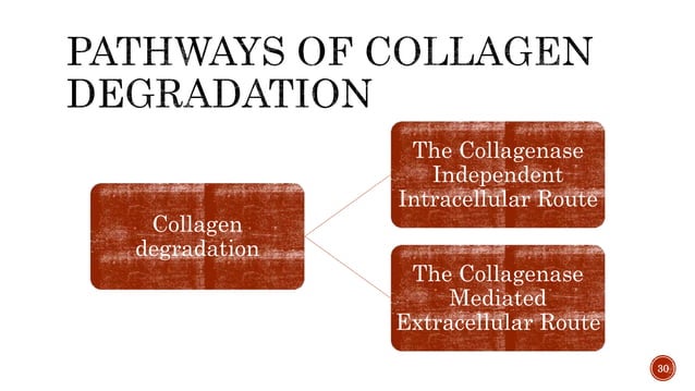 Collagen and collagen disorders | PPTX