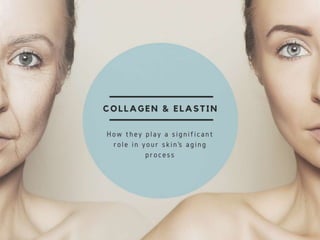 Collagen & Elastin | PPSX