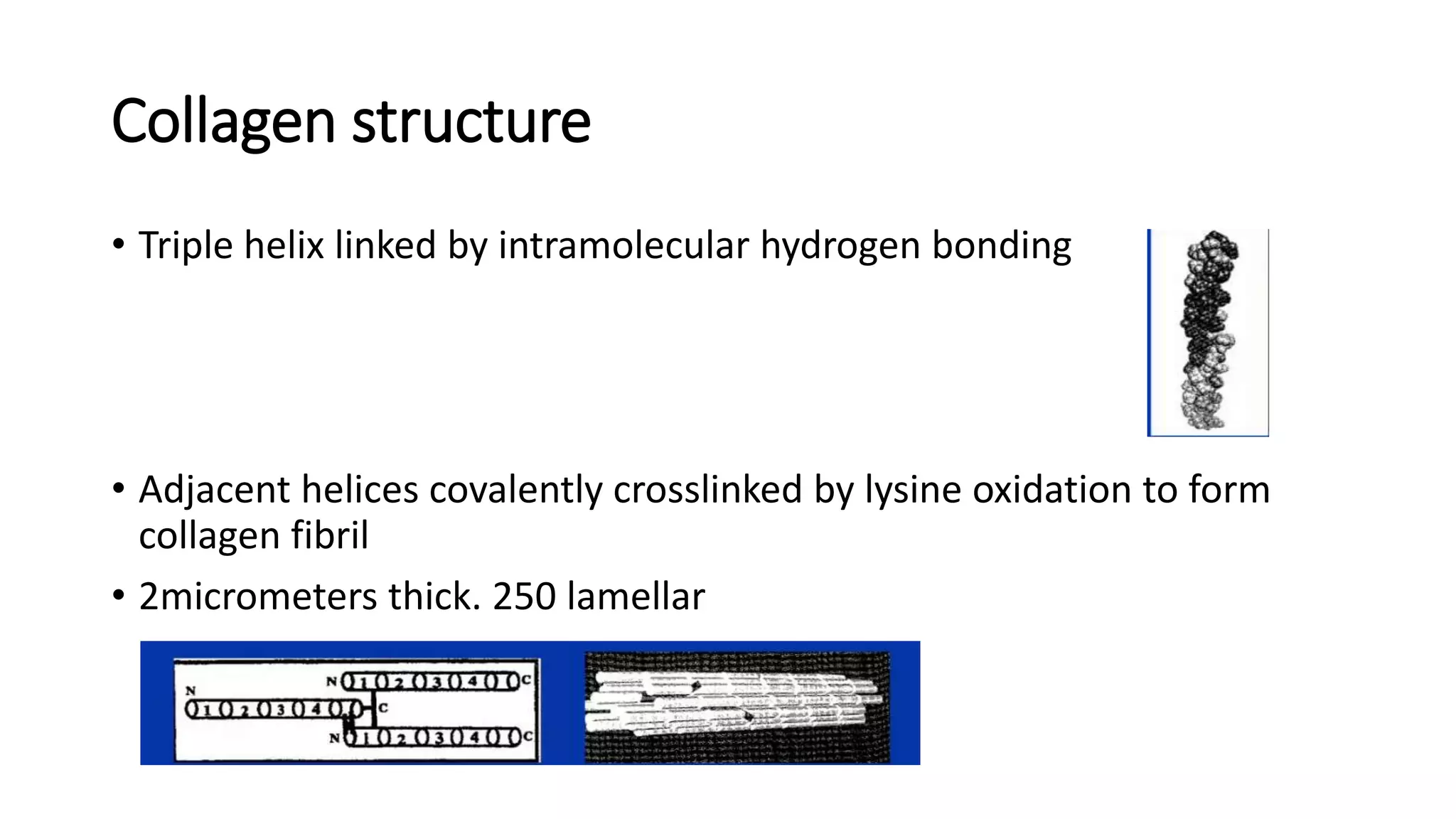 Collagen crosslinking by Dr. Iddi.pptx