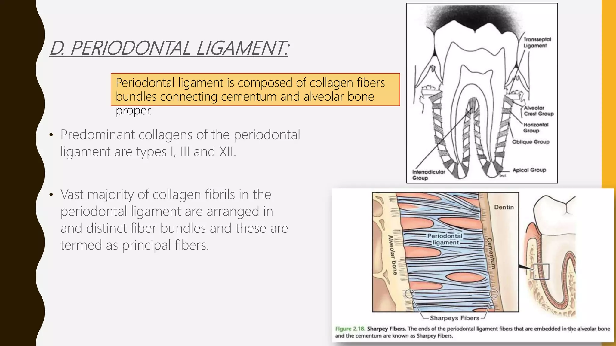 collagen disorders.pptx