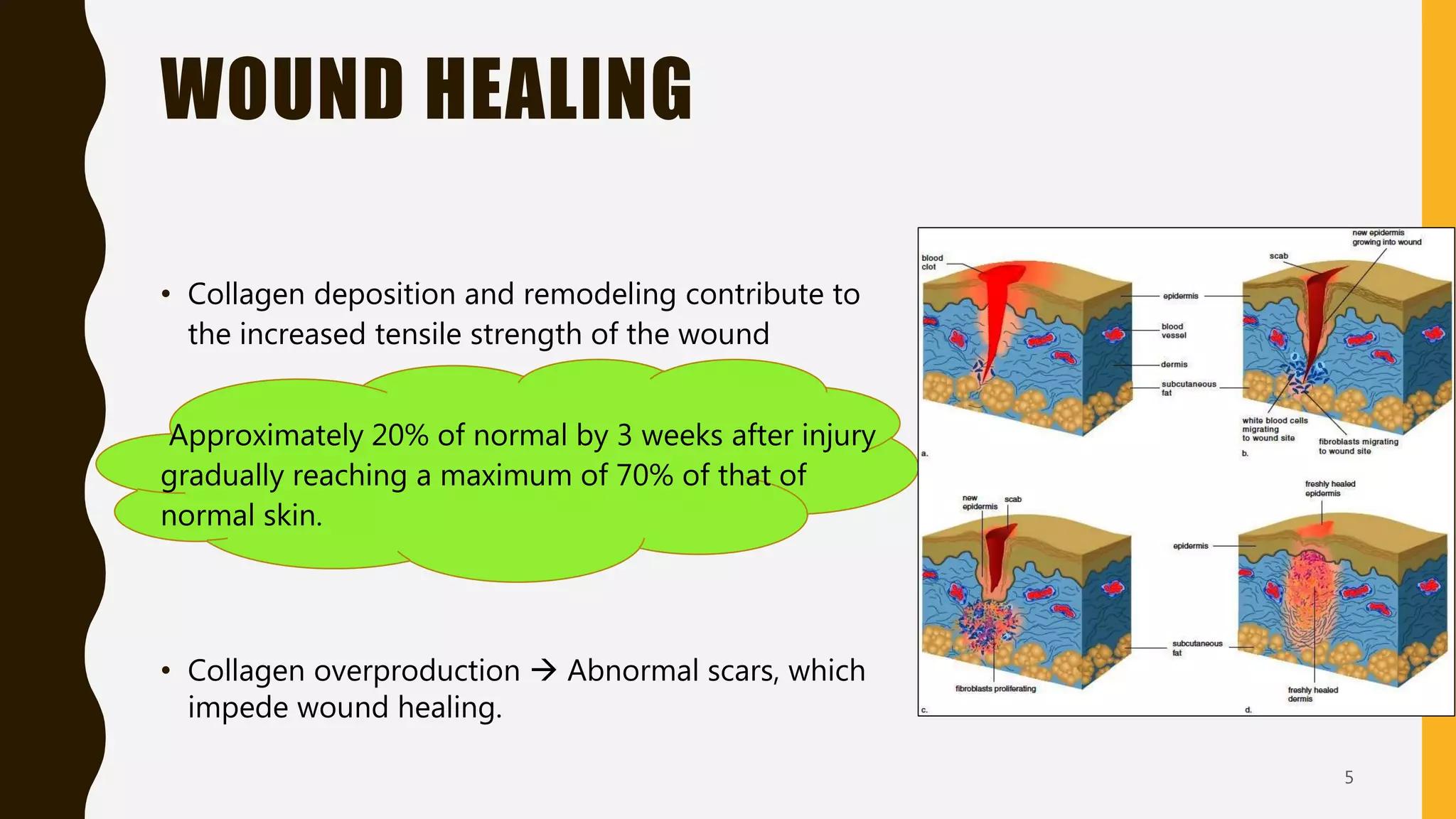 collagen disorders.pptx