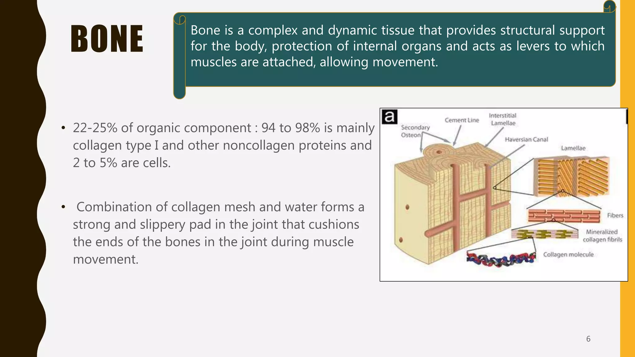 collagen disorders.pptx