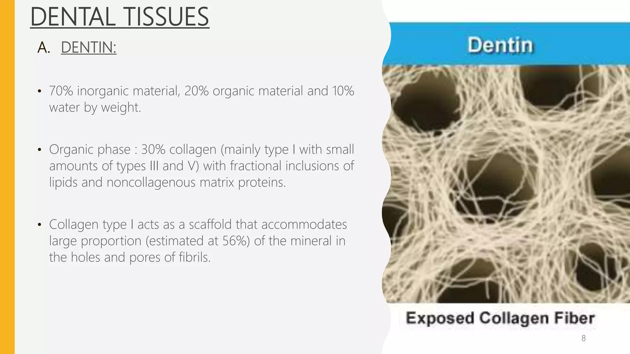 collagen disorders.pptx