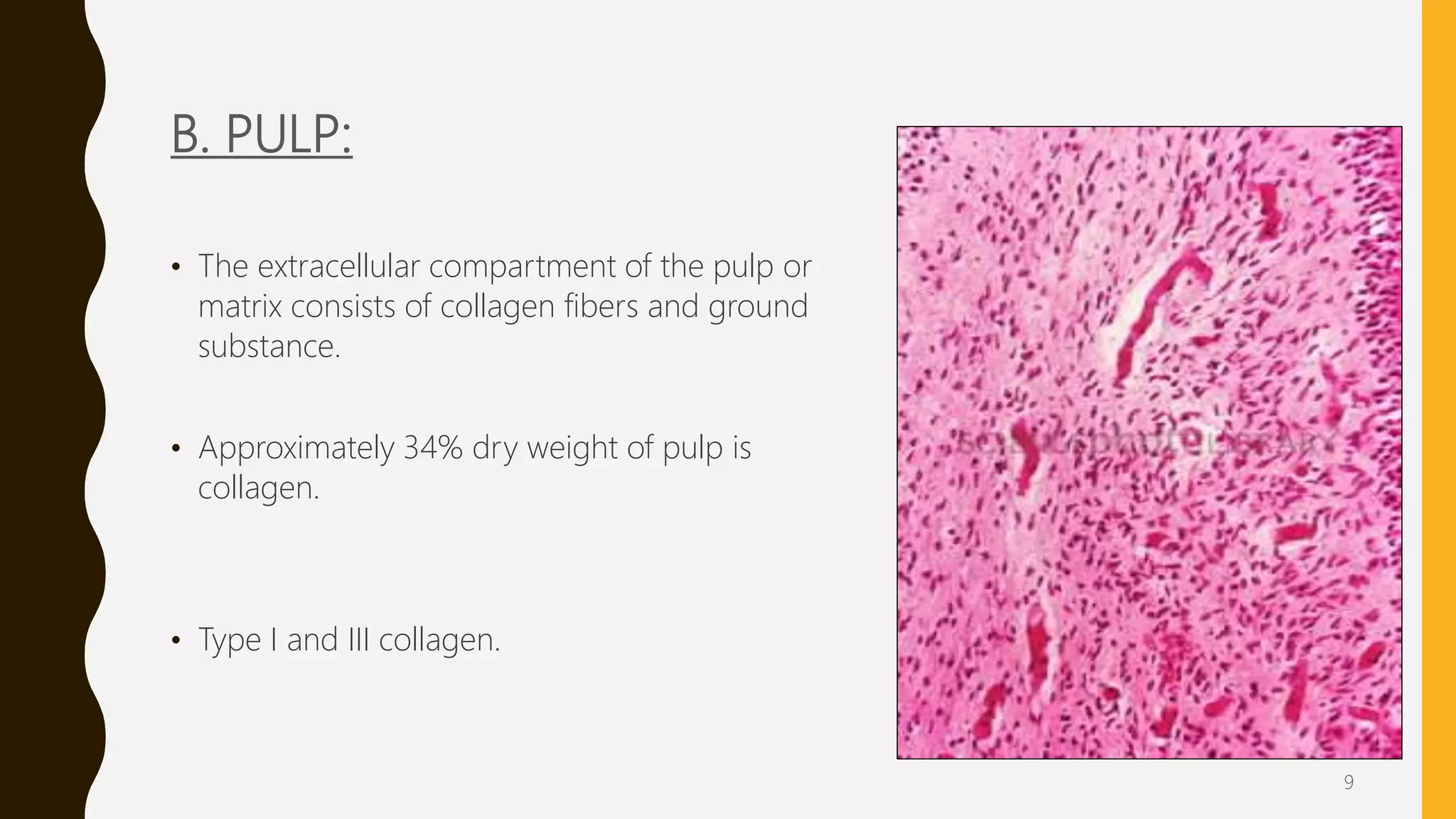 collagen disorders.pptx