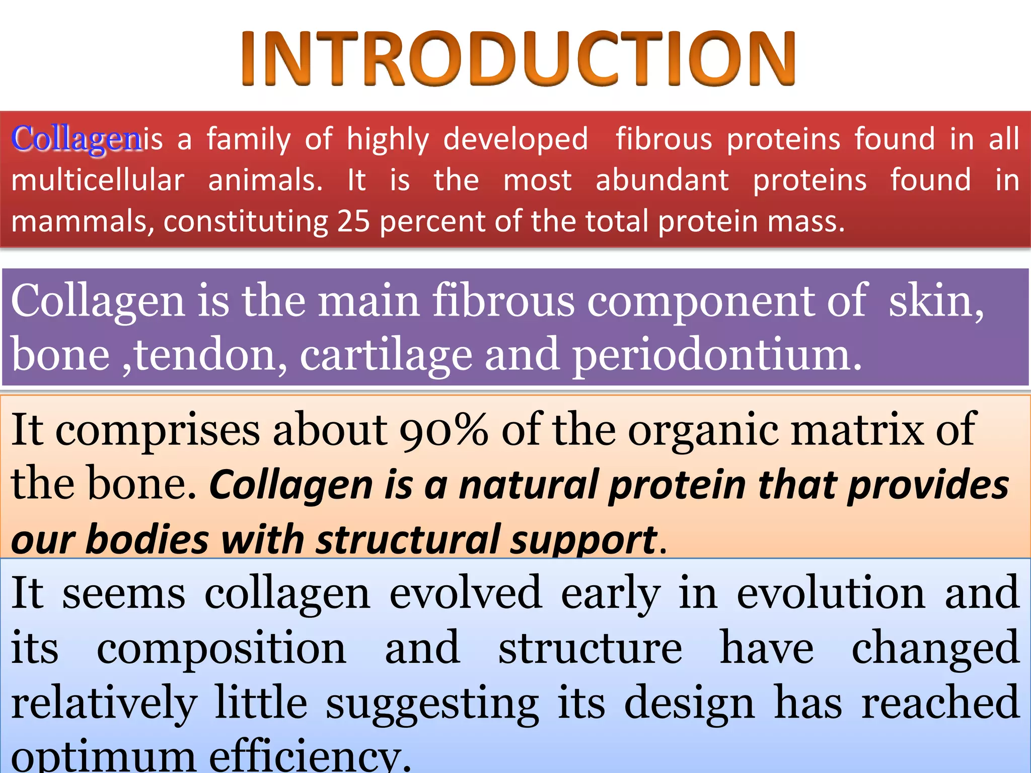 COLLAGEN Structure , Distribution , Synthesis & Regulation | PPTX