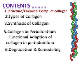 COLLAGEN Structure , Distribution , Synthesis & Regulation | PPTX
