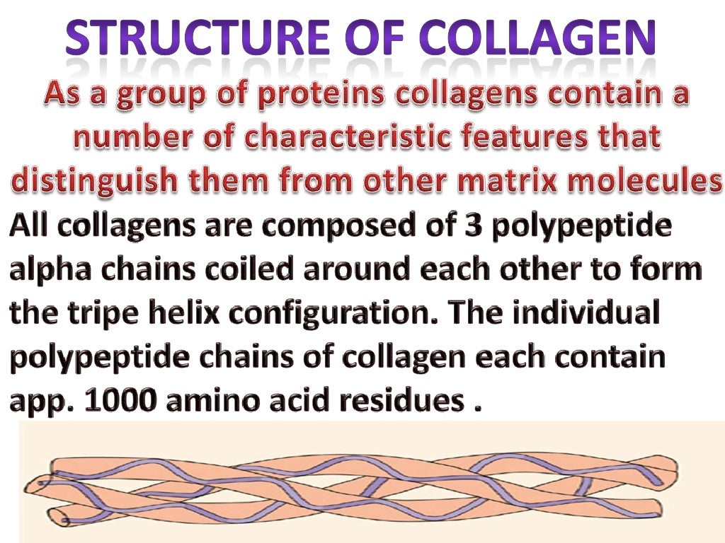 COLLAGEN Structure , Distribution , Synthesis & Regulation