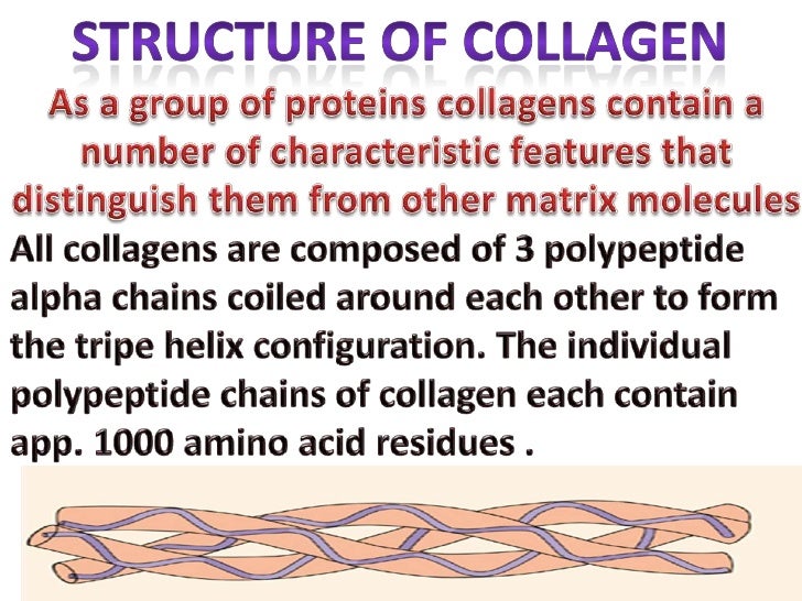 COLLAGEN Structure , Distribution , Synthesis & Regulation