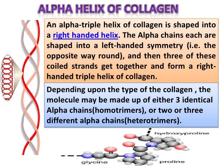 COLLAGEN Structure , Distribution , Synthesis & Regulation