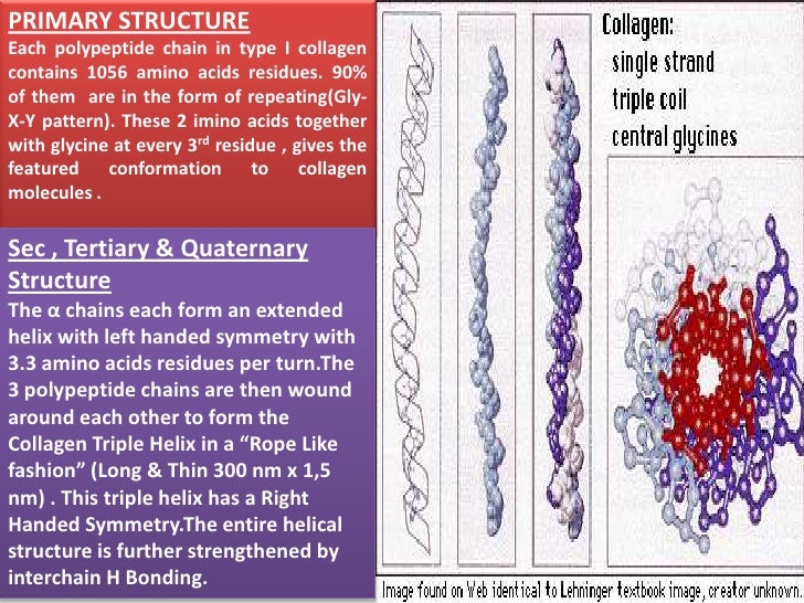 COLLAGEN Structure , Distribution , Synthesis & Regulation