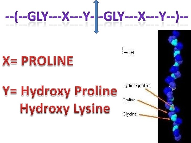 COLLAGEN Structure , Distribution , Synthesis & Regulation