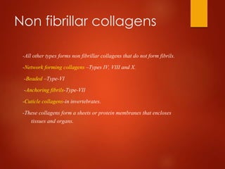 Collagen in periodontium | PPTX