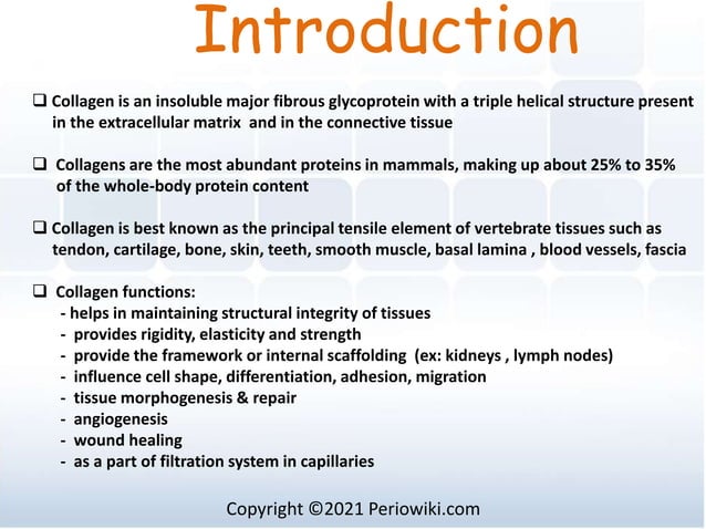 Collagen & its disorders | PPTX | Biological Sciences | Science