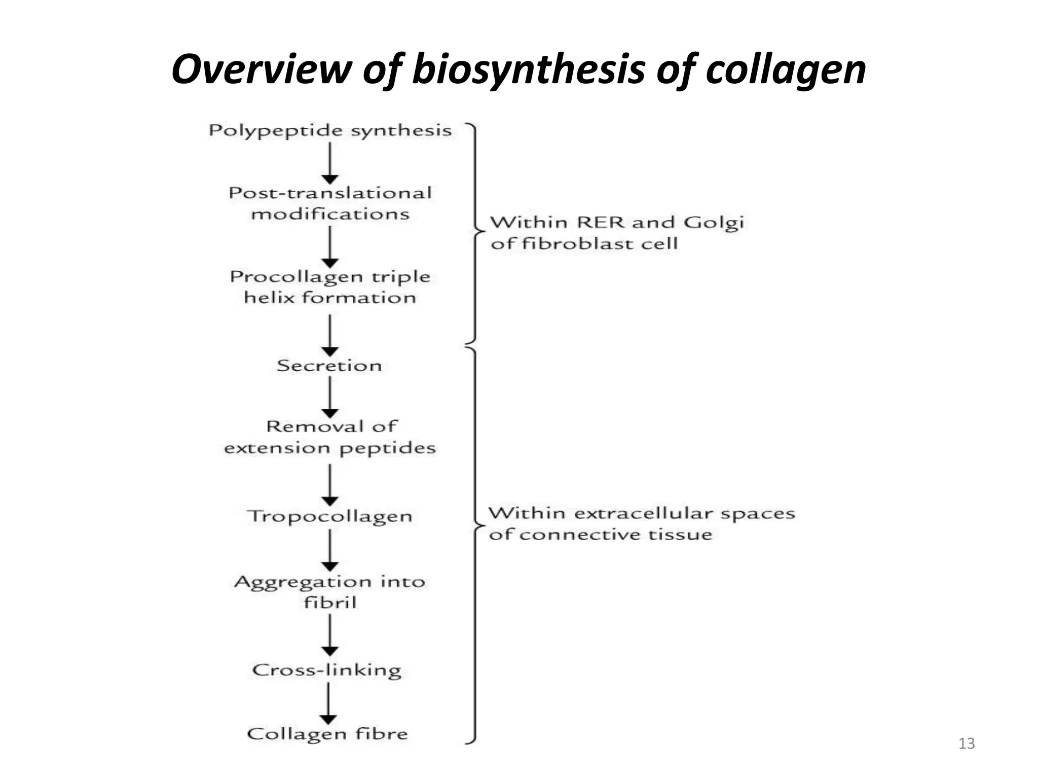 Collagen and its disorders | PPTX
