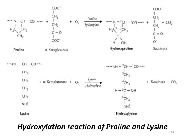 Collagen and its disorders