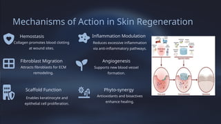 Basics and introduction of Collagen.pptx