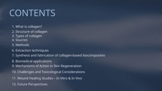 Basics and introduction of Collagen.pptx