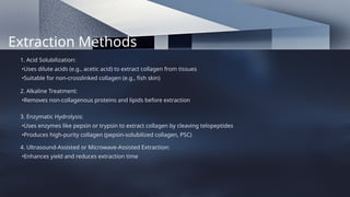 Basics and introduction of Collagen.pptx