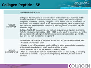 collagen peptide presentation for public | PDF