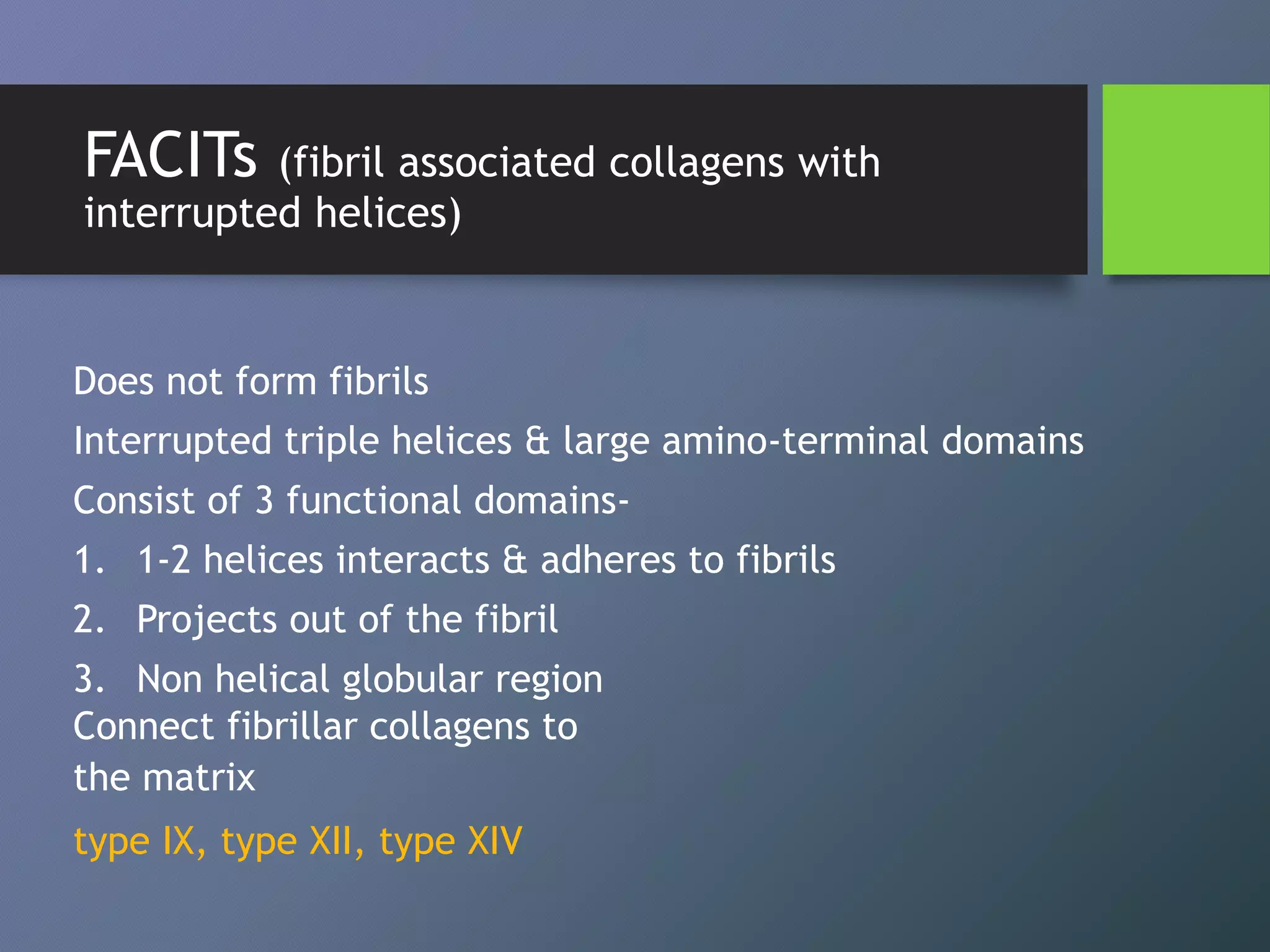 Collagen | PPTX