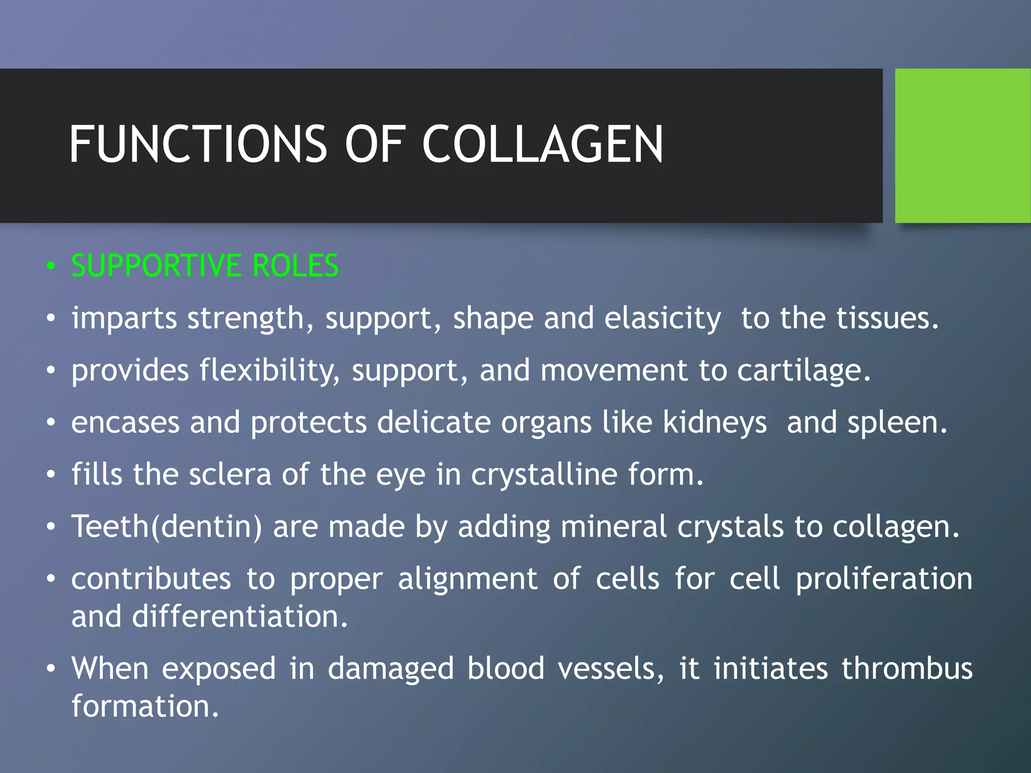 Collagen | PPTX