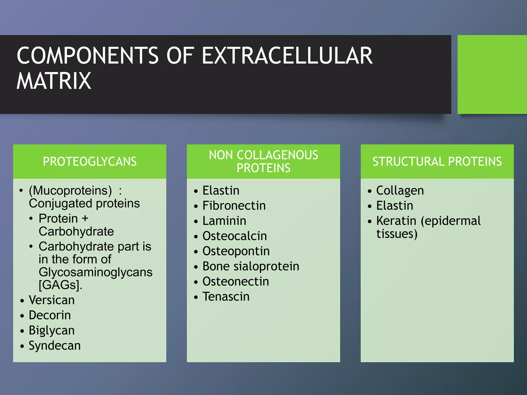 Collagen | PPTX