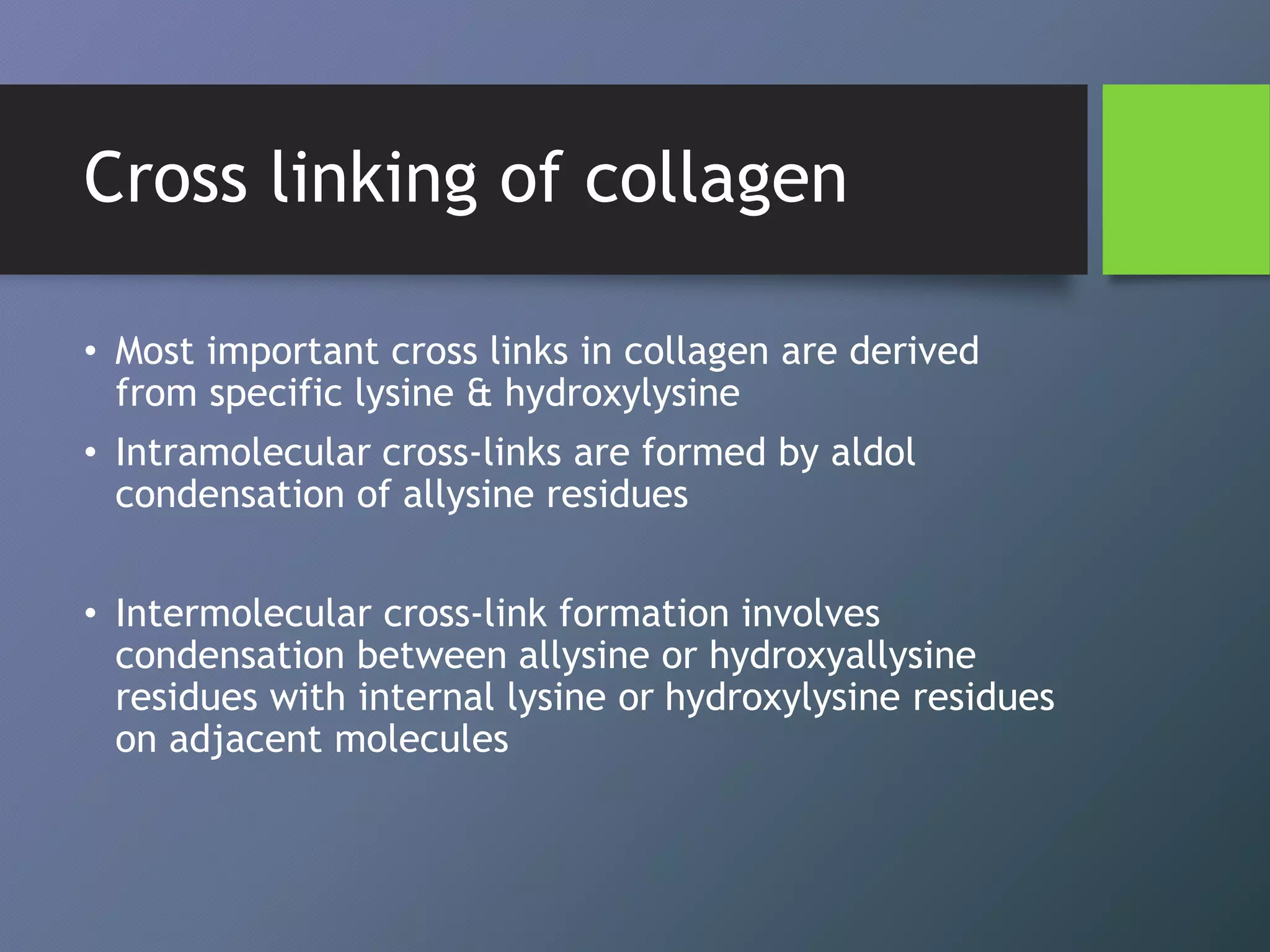 Collagen | PPTX