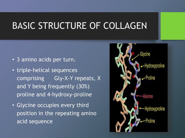 Collagen | PPTX | Chemistry | Science