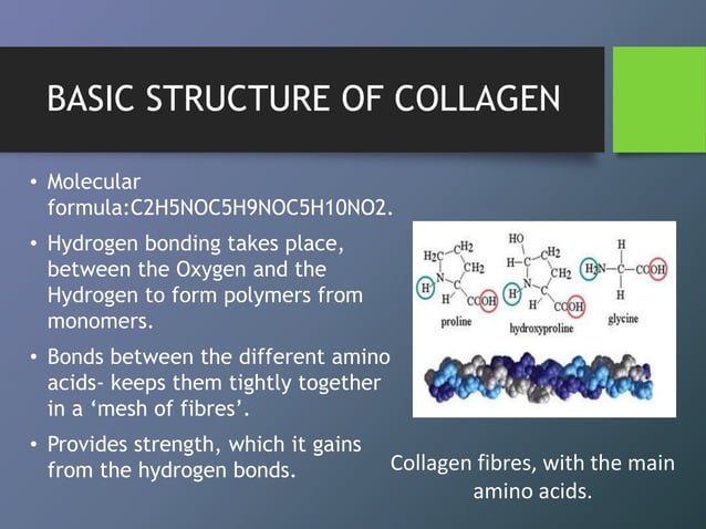 Collagen | PPTX | Chemistry | Science