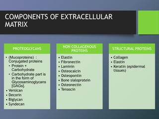 Collagen | PPTX