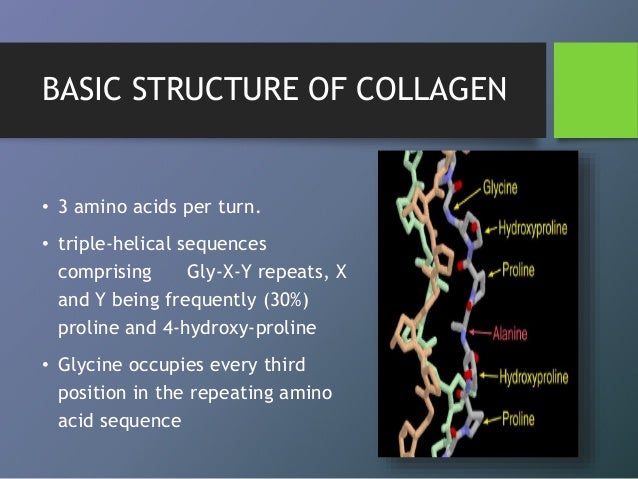 Collagen