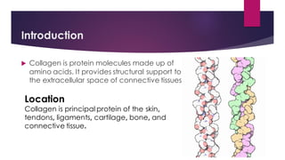 Collagen ppt.pdf