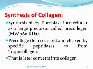 Collagen ppt(1) | PPTX