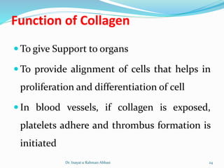 Collagen ppt(1) | PPTX