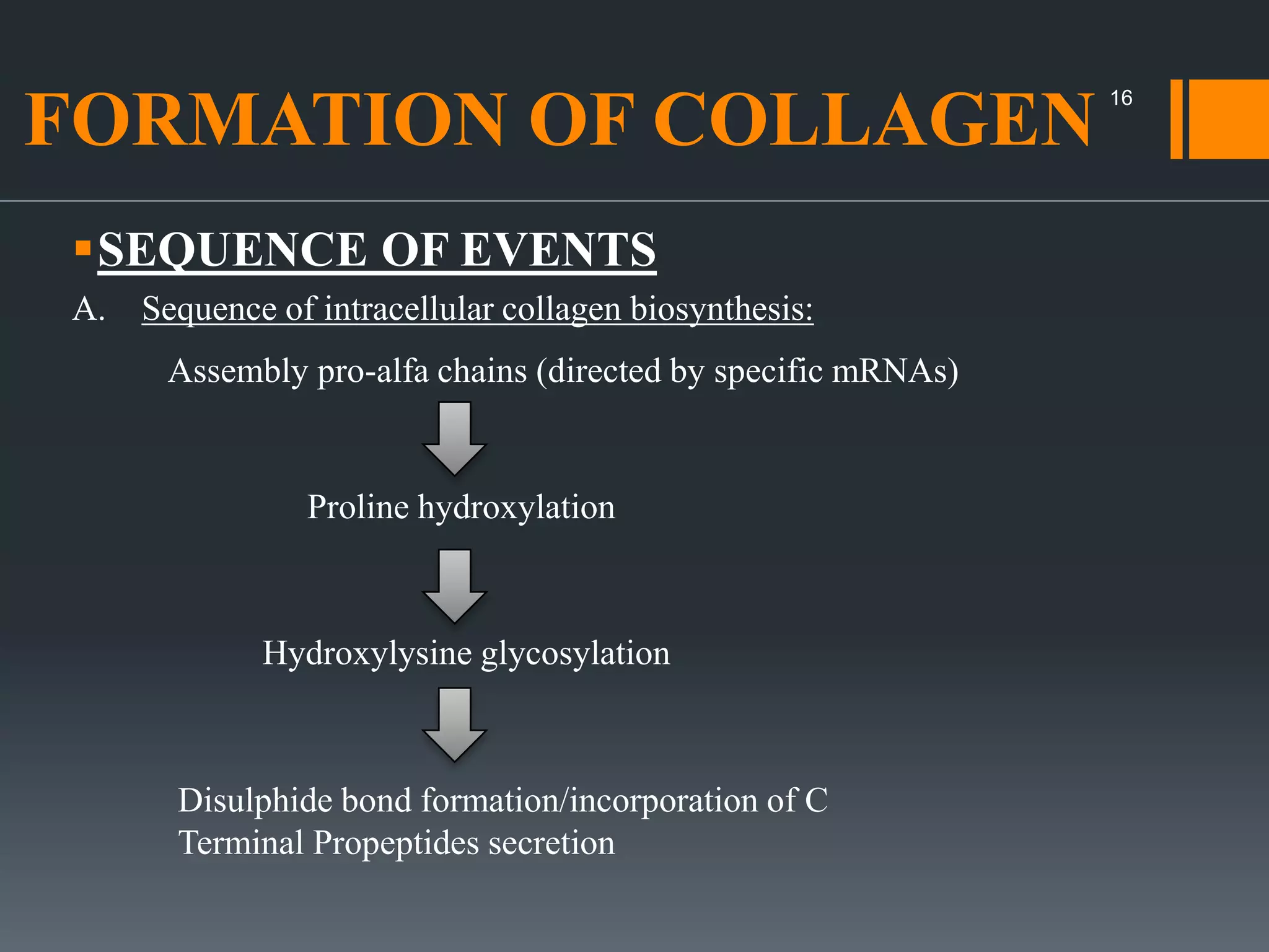 Hierarchial Structure of Collagen | PPTX