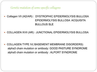 Collagen presentation1 | PPTX