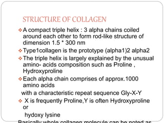Collagen presentation1 | PPTX