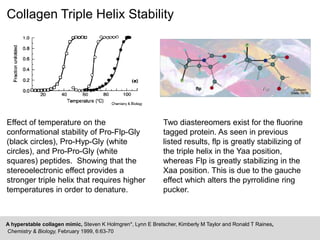 Collagen triple helix stability | PPTX