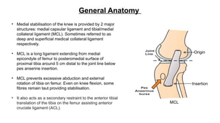 collateral injuries- injuries of knee ligaments | PPTX