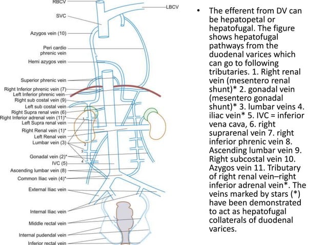 Collateral pathways in portal hypertension | PPTX
