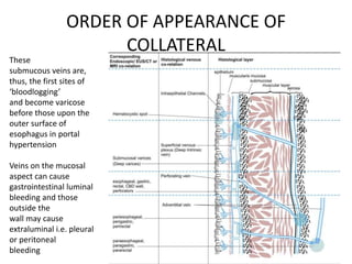 Portal Hypertension Collaterals