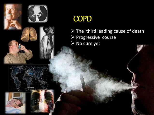 Collateral ventilation | PPTX | Lung and Respiratory Health | Diseases ...