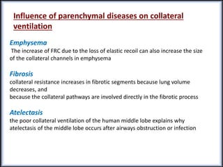 Collateral ventilation | PPTX