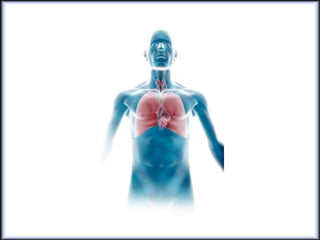 Collateral ventilation | PPTX