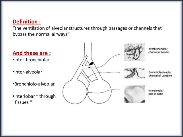 Collateral ventilation