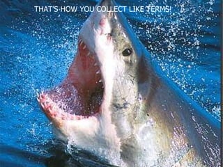 Collecting Like Terms | PPT