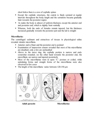 Collection and examination of skin scrapping of cattle | DOCX