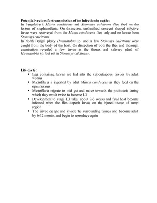 Collection and examination of skin scrapping of cattle | DOCX