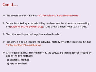 Collection and preservation of bull semen | PPTX
